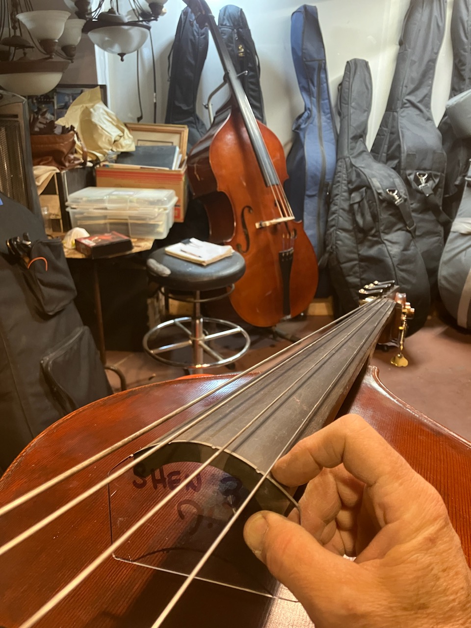Double Bass Setup - Let Me Set Up Your Bass Right! - Seattle Double ...